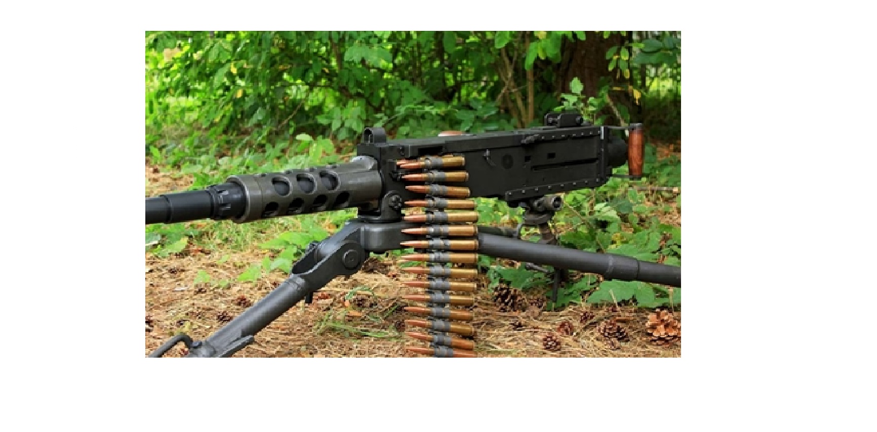 TNW M2HB Semi-Auto For Sale $799.00, Review, Price - In Stock
