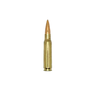 .300 Savage Ammo For Sale, Review, Price - $61.99 - In Stock